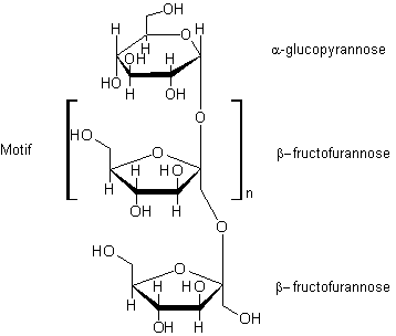 Médicaments 20